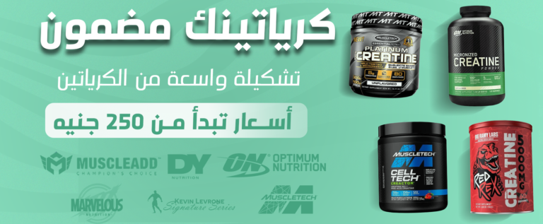 Red Rex Creatine 5000mg - Big Ramy Labs Strength